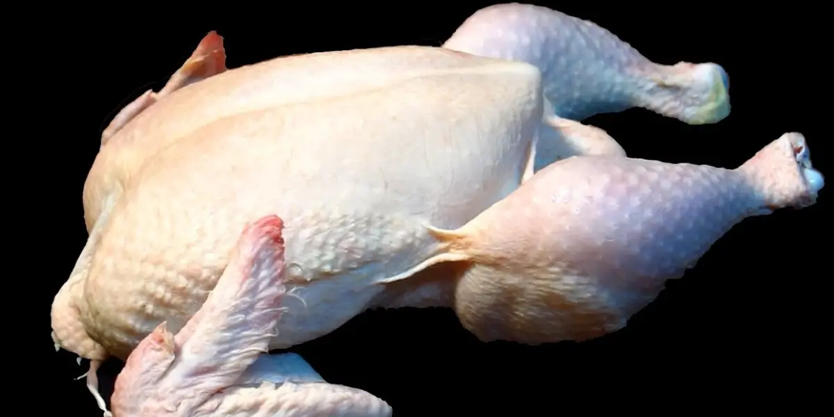 ¿Cómo deshuesar un pollo? - Comidas argentinas